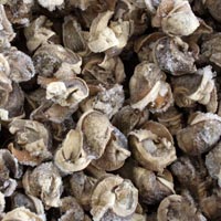 Frozen Snail Meat at Best Price from Manufacturers, Suppliers & Traders