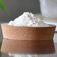 Shark Cartilage Powder Latest Price from Manufacturers, Suppliers & Traders