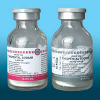 Thiopental Sodium - Sodium Thiopental Price, Manufacturers & Suppliers