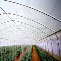 UV Stabilized Film at Best Price from Manufacturers, Suppliers & Traders