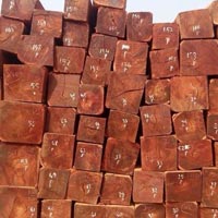 Pyinkado Wood at Best Price from Manufacturers, Suppliers & Traders