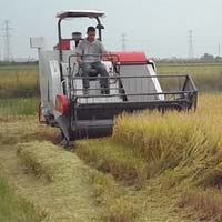 Paddy Cutting Machine - paddy cutting machines Suppliers, Paddy Cutting ...
