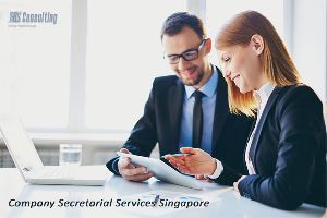 Company Secretary Services,Company Secretary Services Providers in ...