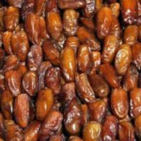 Iraqi Dates at Best Price from Manufacturers, Suppliers & Traders