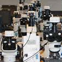 Zoology Laboratory Equipment at Best Price from Manufacturers ...