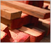 Kabukalli Wood Latest Price from Manufacturers, Suppliers & Traders