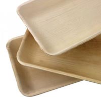 Disposable Rectangular Plates at Best Price from Manufacturers ...