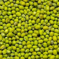 Bamboo Beans - Get Latest Price & Mandi rates from Dealers & Traders ...