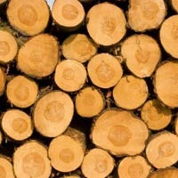 Indian Timber in Telangana - Manufacturers and Suppliers India