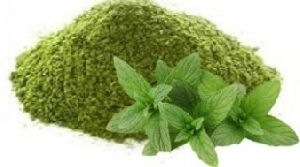 Mint Leaf Powder at Best Price from Manufacturers, Suppliers & Traders