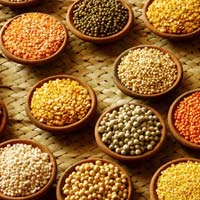 Raw Pulses - Get Latest Price & Mandi rates from Dealers & Traders ...