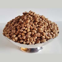Charoli Nuts at Best Price from Manufacturers, Suppliers & Traders