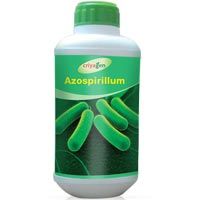 Azospirillum Culture at Best Price from Manufacturers, Suppliers & Traders