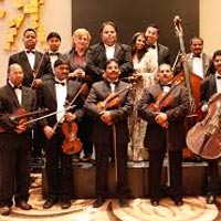 Symphony Orchestras,Symphony Orchestras Providers in India Consultants ...