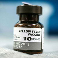 Yellow Fever Vaccine in Maharashtra - Manufacturers and Suppliers India