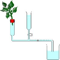 Potometer at Best Price from Manufacturers, Suppliers & Traders
