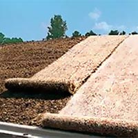 Erosion Control Mat at Best Price from Manufacturers, Suppliers & Traders