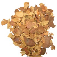 Tamarind Husk - Tamarindus indica Husk Price, Manufacturers & Suppliers