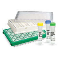 Real Time PCR Kits at Best Price from Manufacturers, Suppliers & Traders