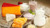 Processed Dairy Products at Best Price from Manufacturers, Suppliers ...