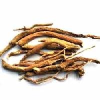 Ipecac Roots at Best Price from Manufacturers, Suppliers & Traders