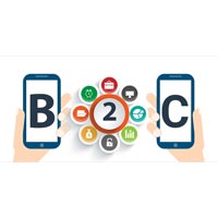 B2C Solutions,B2C Solutions Providers in India Consultants Agents Directory