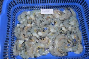Tiger Prawn Seeds at best price in East Godavari Andhra Pradesh from ...