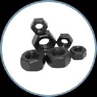 Blank Nuts at Best Price from Manufacturers, Suppliers & Traders