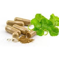 Vegetable Cellulose Capsule at Best Price from Manufacturers, Suppliers ...