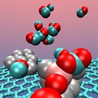 Noble Metal Catalyst at Best Price from Manufacturers, Suppliers & Traders