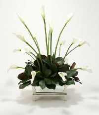 Cream Boxes In Indore - Cream Boxes Manufacturers, Suppliers In Indore