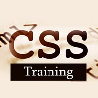 CSS Training,CSS Training Providers in India Consultants Agents Directory