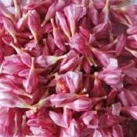Arali Flowers Price & Mandi Rates | Dealers & Traders India