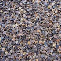 Buckwheat Hull at Best Price from Manufacturers, Suppliers & Traders