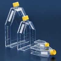 Tissue Culture Flasks at Best Price from Manufacturers, Suppliers & Traders