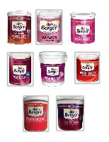 Berger Decorative Paint - Latest Price from Dealers & Retailers