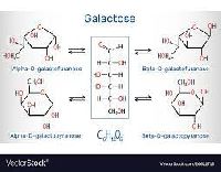 D Galactose at Best Price from Manufacturers, Suppliers & Traders