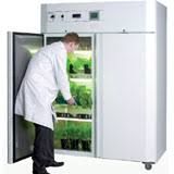 Incubation Chambers at Best Price from Manufacturers, Suppliers & Traders