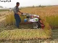 Rice Cutting Machine at Best Price from Manufacturers, Suppliers & Traders