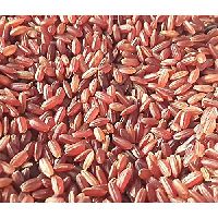 Poongar Rice - Get Latest Price & Mandi rates from Dealers & Traders ...