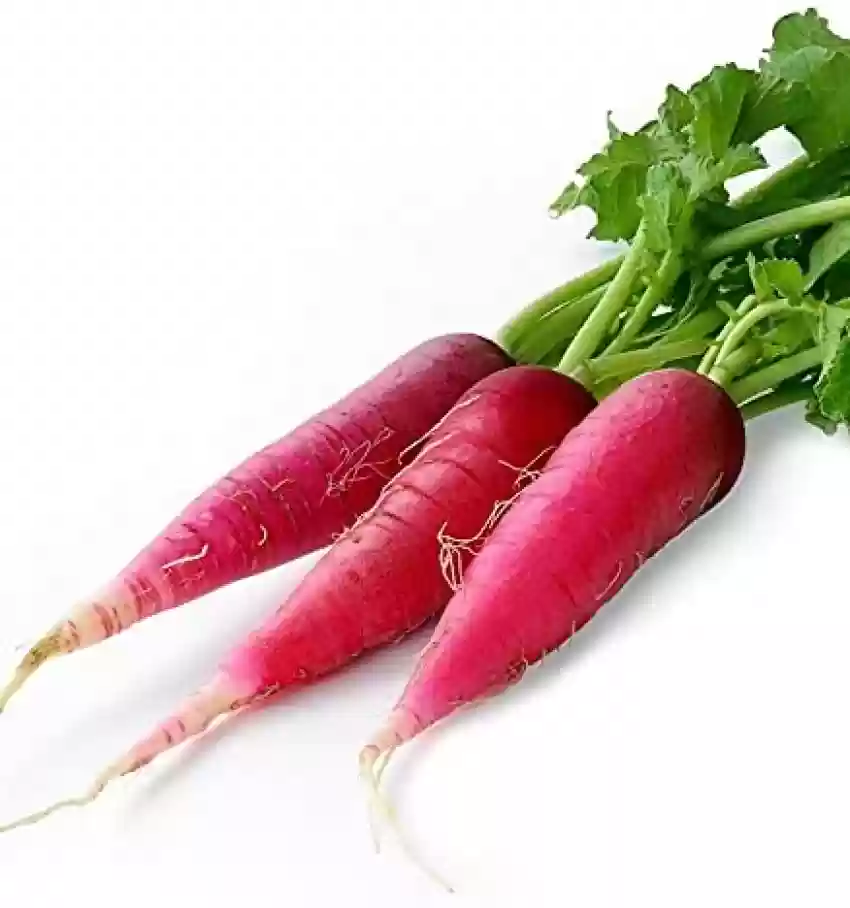 Red Radish - Get Latest Price & Mandi rates from Dealers & Traders ...
