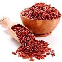 Red Paddy Seeds at Best Price from Manufacturers, Suppliers & Traders