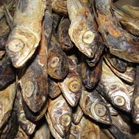 Dried Fish in Noida - Manufacturers and Suppliers India