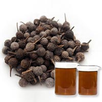 Cubeb Oil at Best Price from Manufacturers, Suppliers & Traders