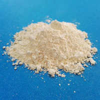 Zirconium Powder at Best Price from Manufacturers, Suppliers & Traders