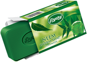 Aloevera Soap at Best Price in Ernakulam | PYARY PRODUCTS
