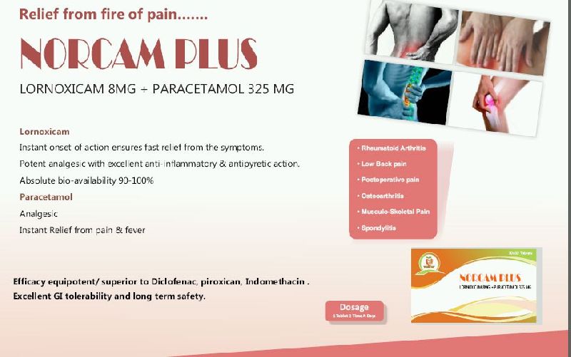 Norcam Plus Tablets at Best Price in Navi Mumbai | Nortic Healthcare