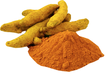 Turmeric Fingers and Powder at Best Price in Mumbai | DreamSoft IT ...