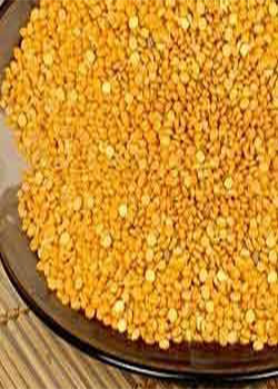 Toor Dhall by Annavardhana Group from Salem Tamil Nadu | ID - 4240398