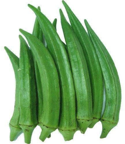 Lady Finger Manufacturer In Tamil Nadu India By VSR CO ID 5149435